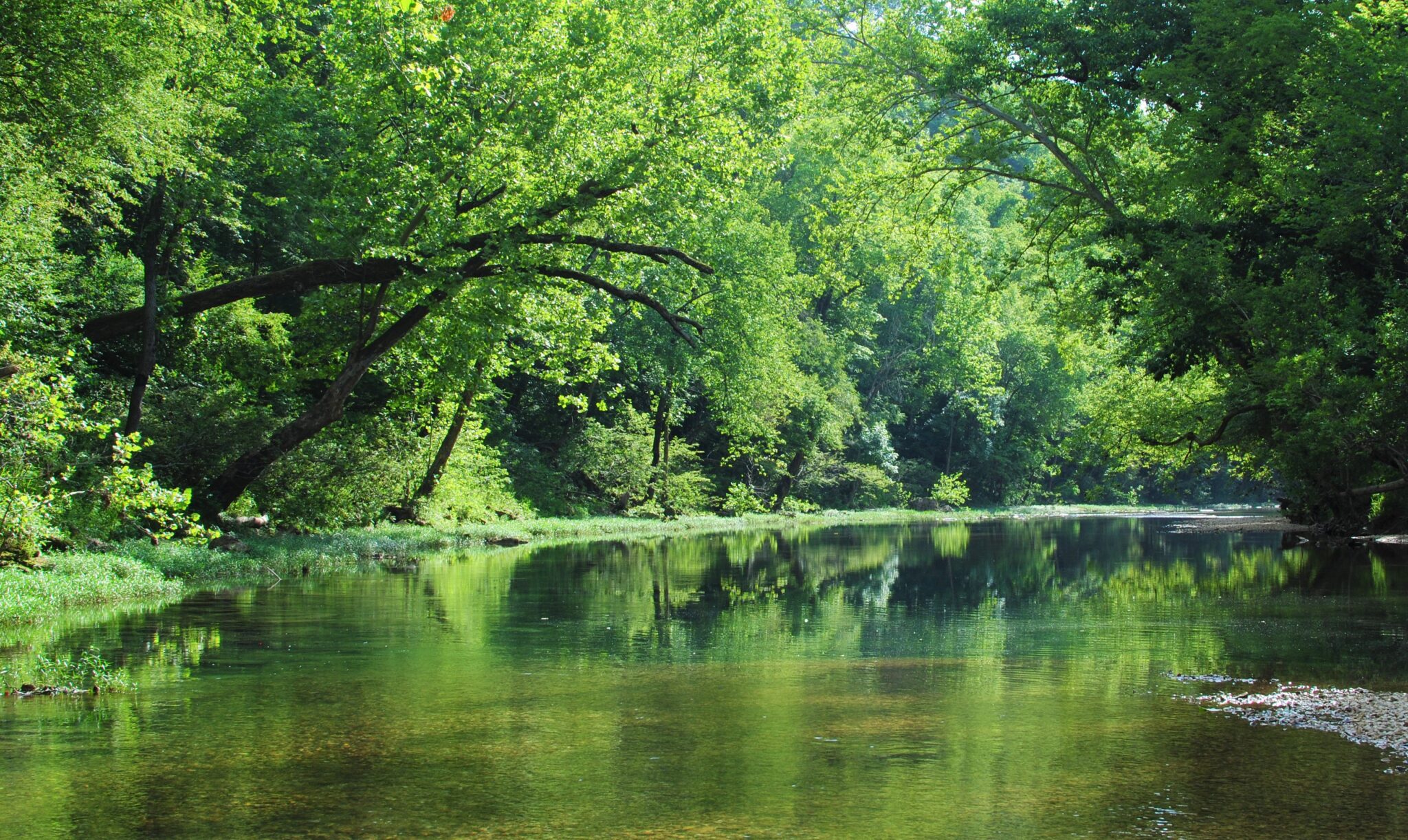 Blog - Watershed Committee of the Ozarks