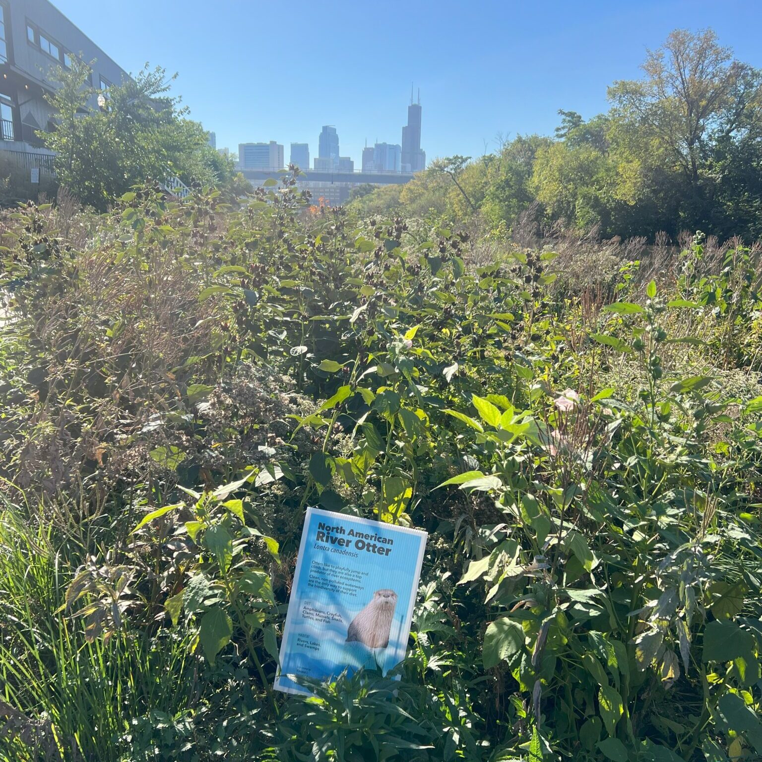 Our Trip to the Wild Mile in Chicago - Watershed Committee of the Ozarks