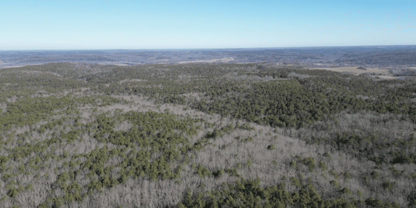 Monthly Meeting Recap: History of Logging Shortleaf Pine